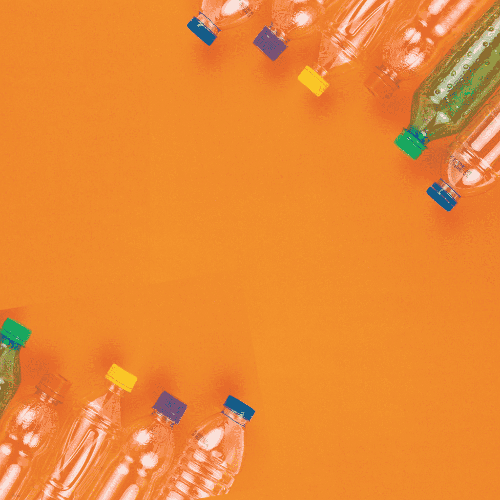 Reciclagem de garrafas PET - Recicla.se